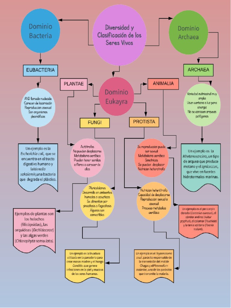 Mapa Conceptual de La Clasificacion de Los Seres Vivos 4 | PDF