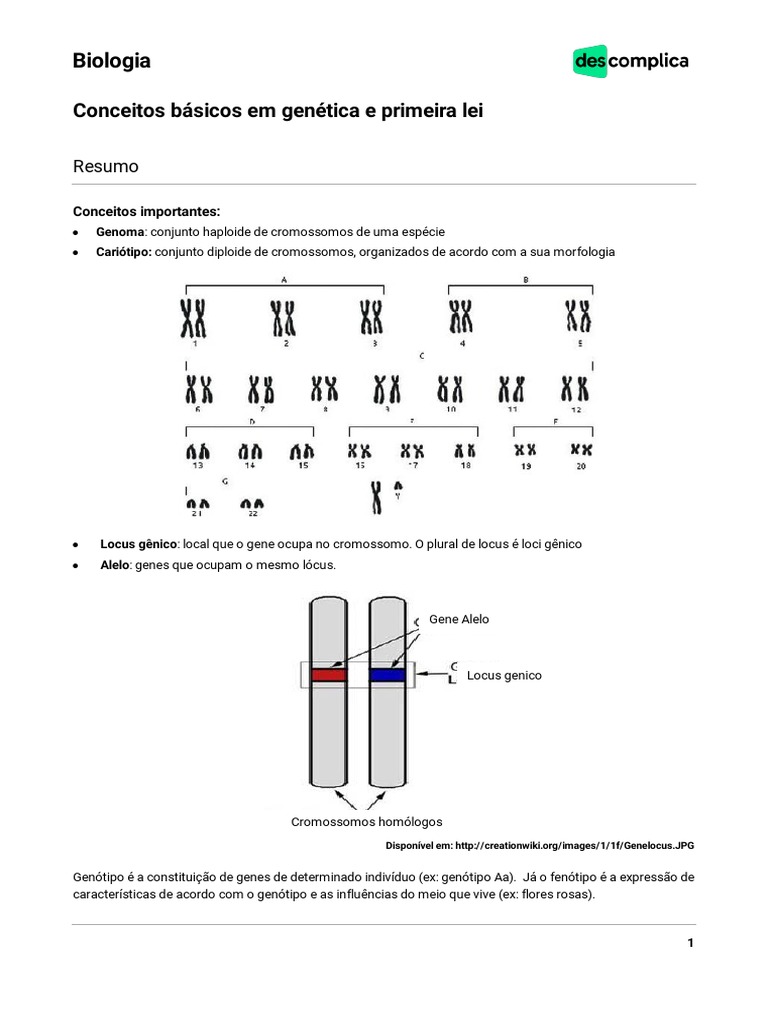 VOD-Conceitos Básicos em Genética e Primeira Lei-2019 | PDF | Dominância (genética) | Genótipo