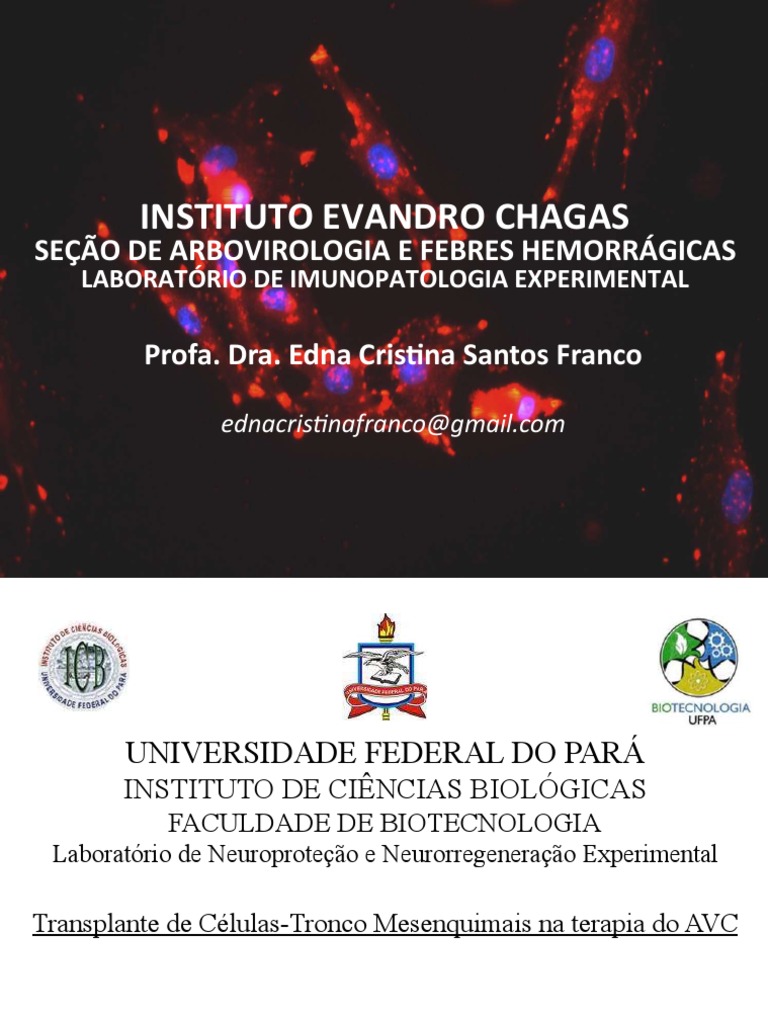 Dra Edna Cristina Franco - Transplante de Células-Tronco Mesenquimais ...
