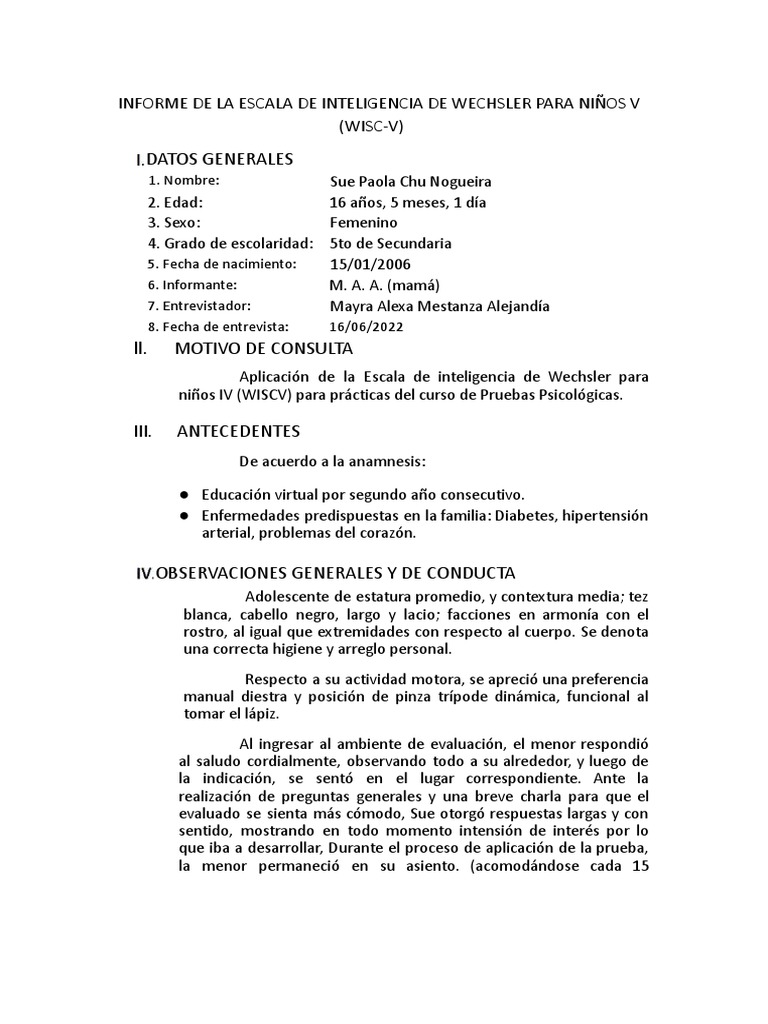 Informe Wisc-V | PDF