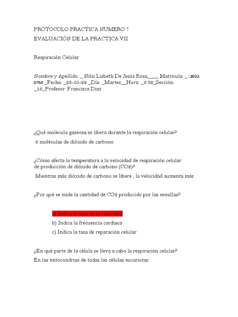 Protocolo Practica Numero 7 | PDF