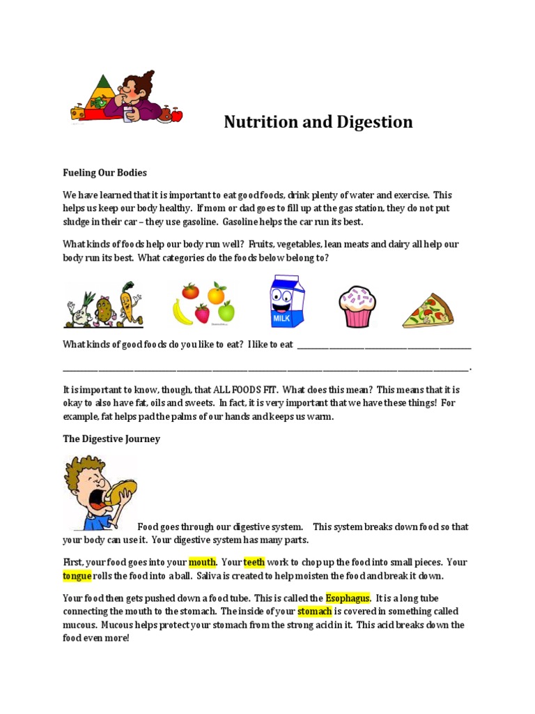 Nutrition and Digestion: Fueling Our Bodies | PDF
