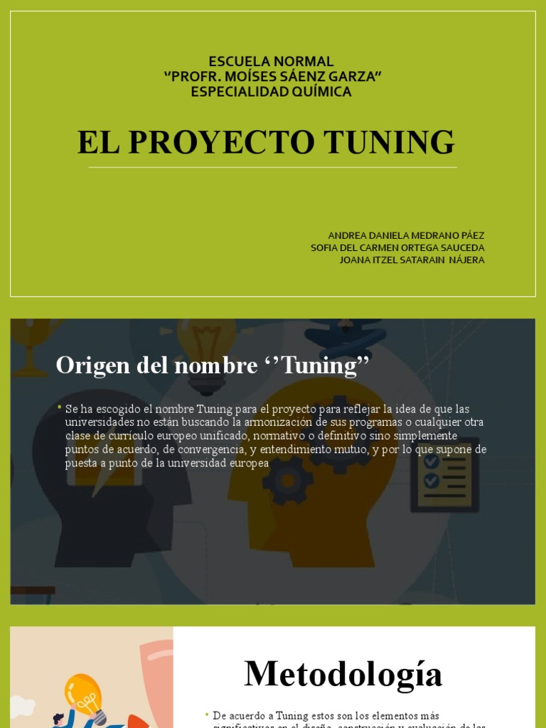 El Proyecto Tuning Descargar Gratis Pdf Plan De Estudios Aprendizaje