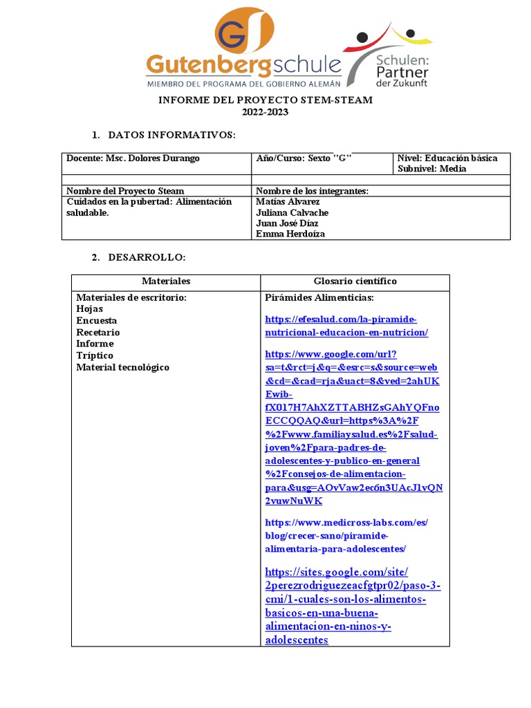 Informe Stem-Steam | PDF