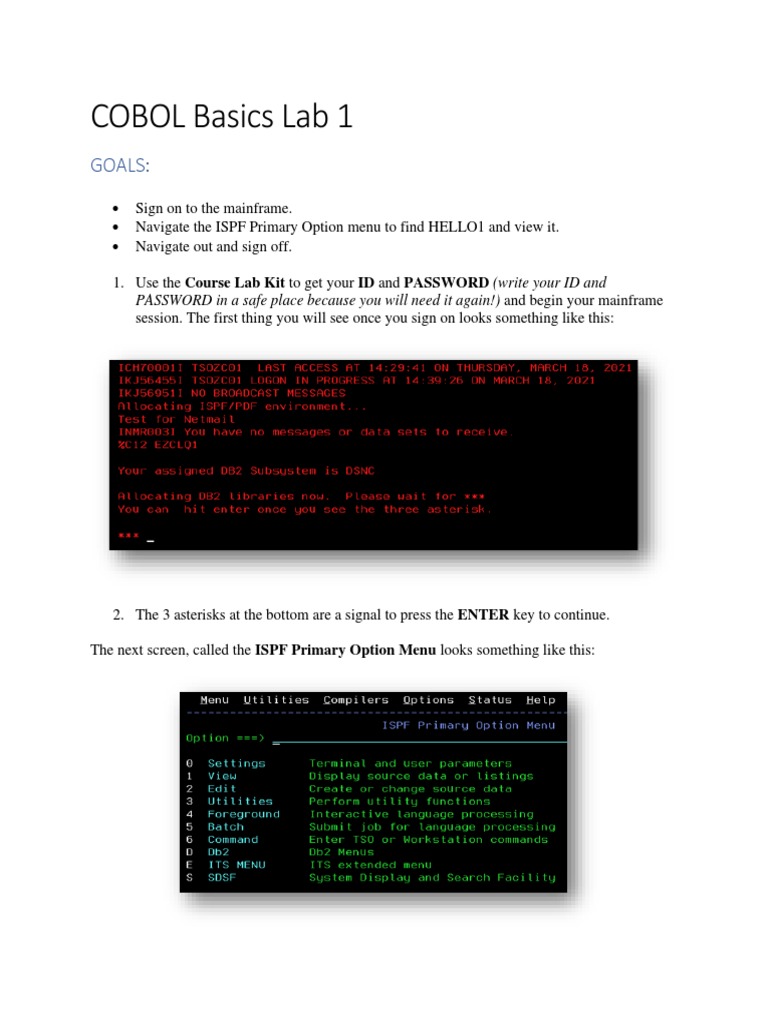 Lecture Cobol Basics | PDF