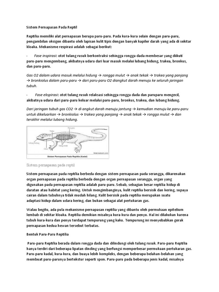 Sistem Pernapasan Pada Reptil | PDF