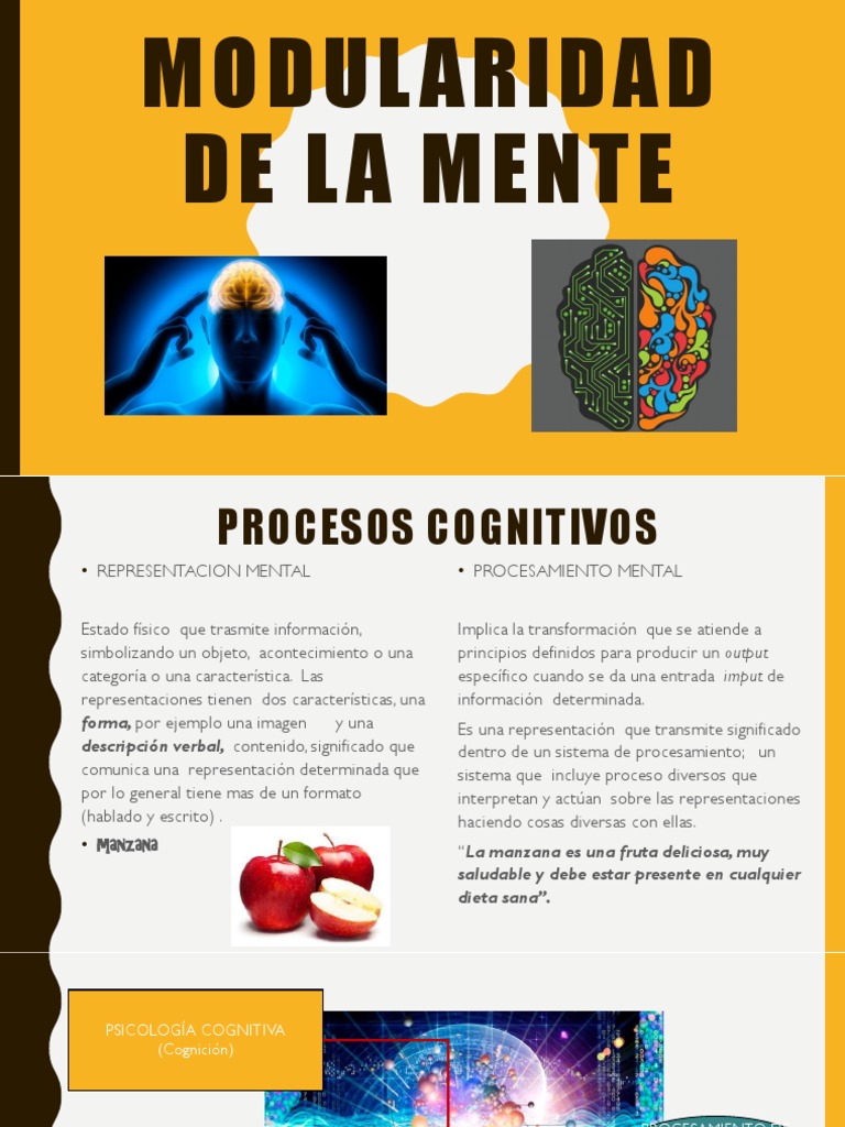 3 Modularidad de La Mente | PDF | Mente | Información