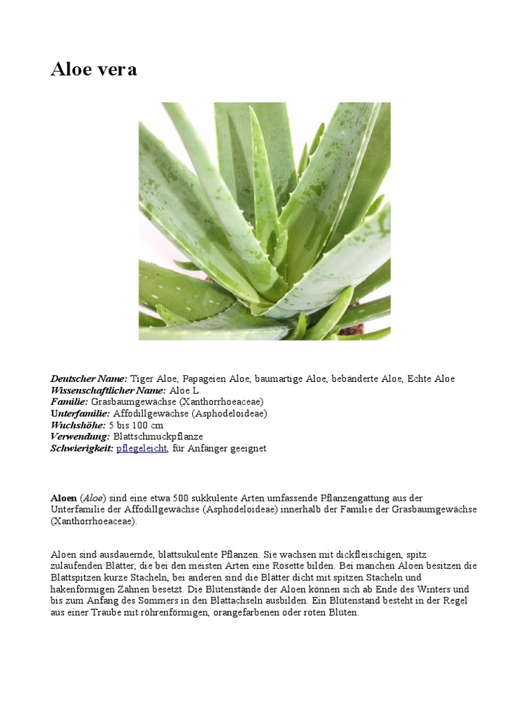 Aloe Vera | PDF