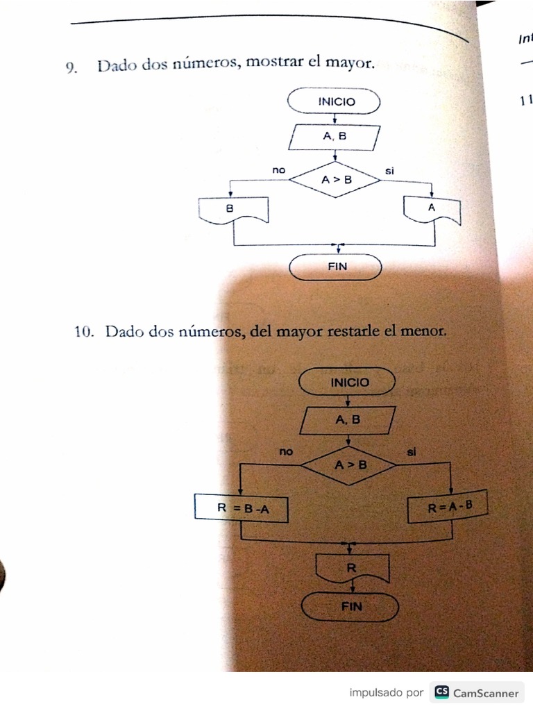 Ejercicios Resueltos de Algoritmos | PDF