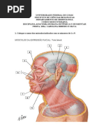 Nomes de 100 Músculos Do Corpo Humano | PDF | Sistema Locomotor ...