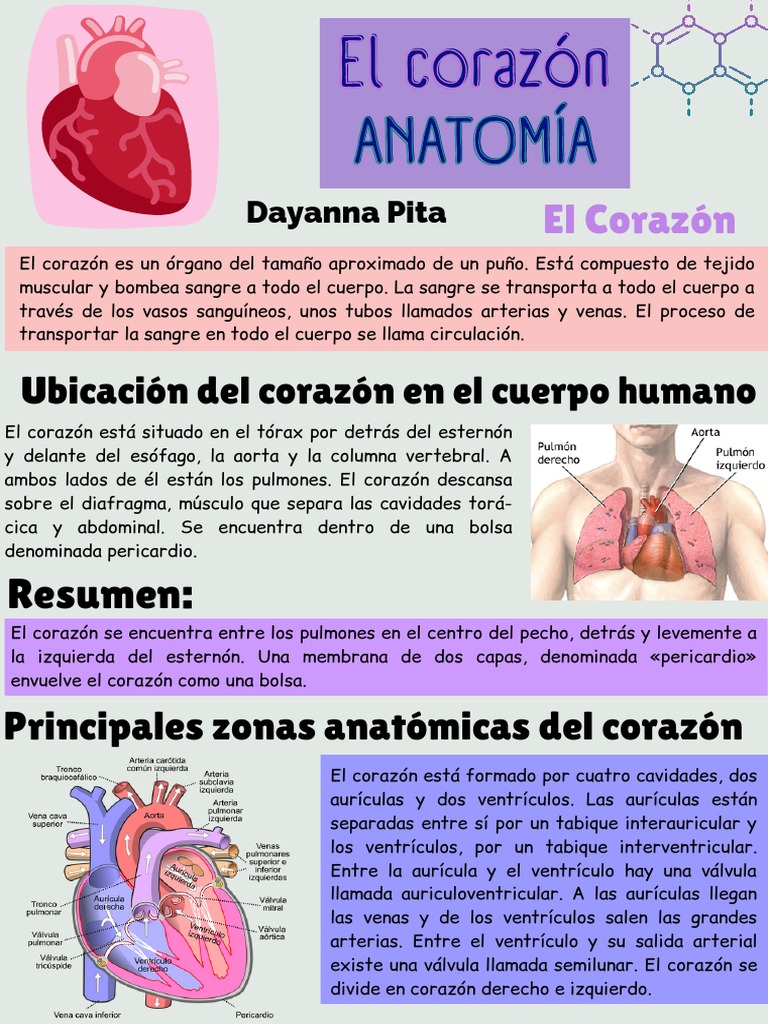 El Corazon | PDF