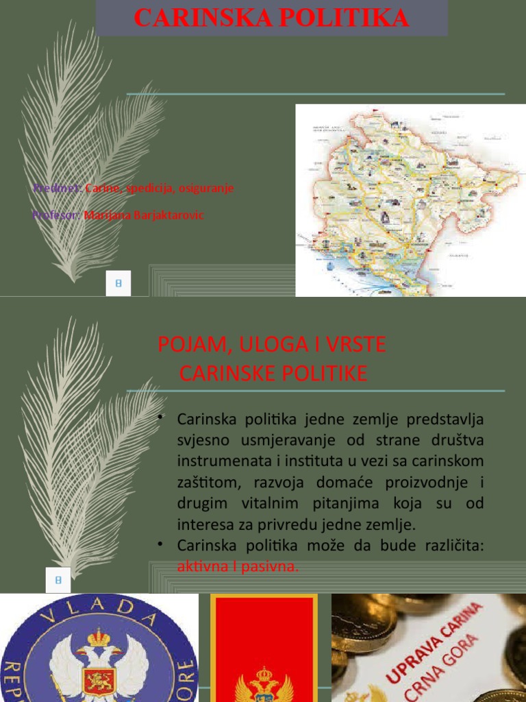 Carinska Politika - PPT 3 | PDF