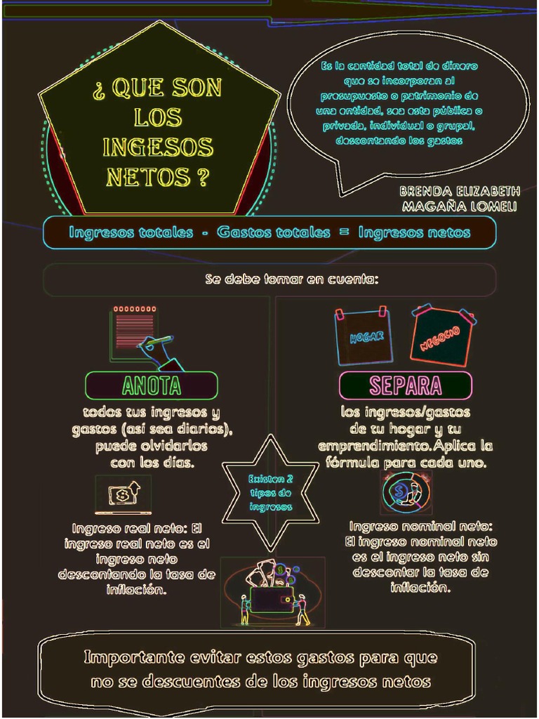 Ingresos Netos | PDF