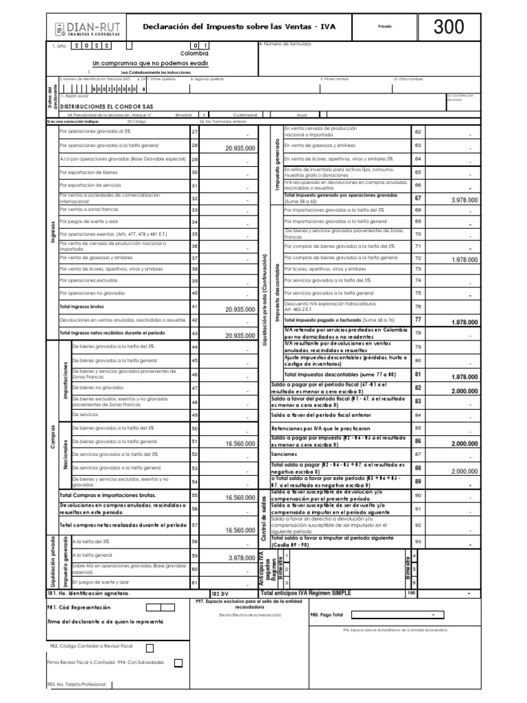 Formulario Dian 300 | PDF | Economias | Mercado (economía)