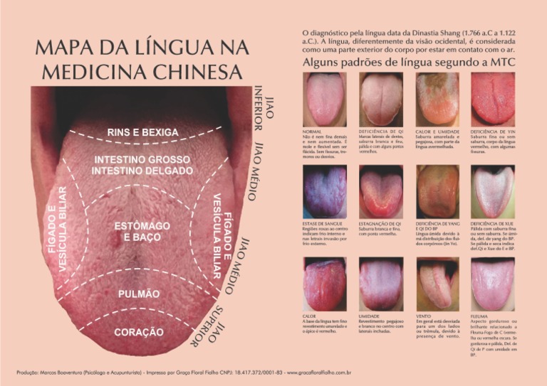 Mapa Da Lingua | PDF
