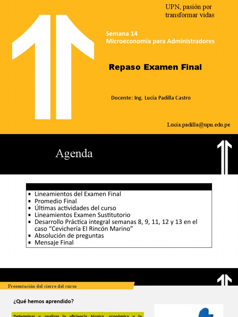 Repaso Examen Final Microeconomía UPN | PDF