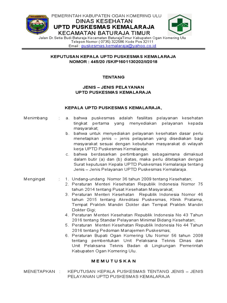 SK Ka Puskesmas TTG Jenis-Jenis Pelayanan | PDF