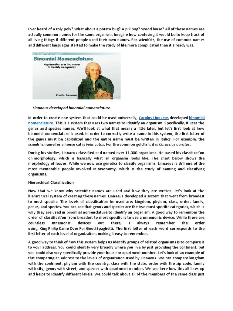 Binomial Nomenclature | PDF | Taxonomy (Biology) | Genus