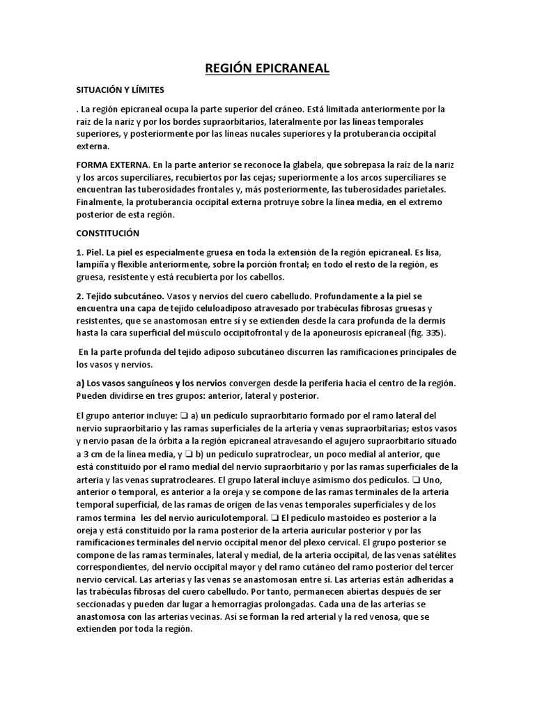 Region Epicraneal | PDF
