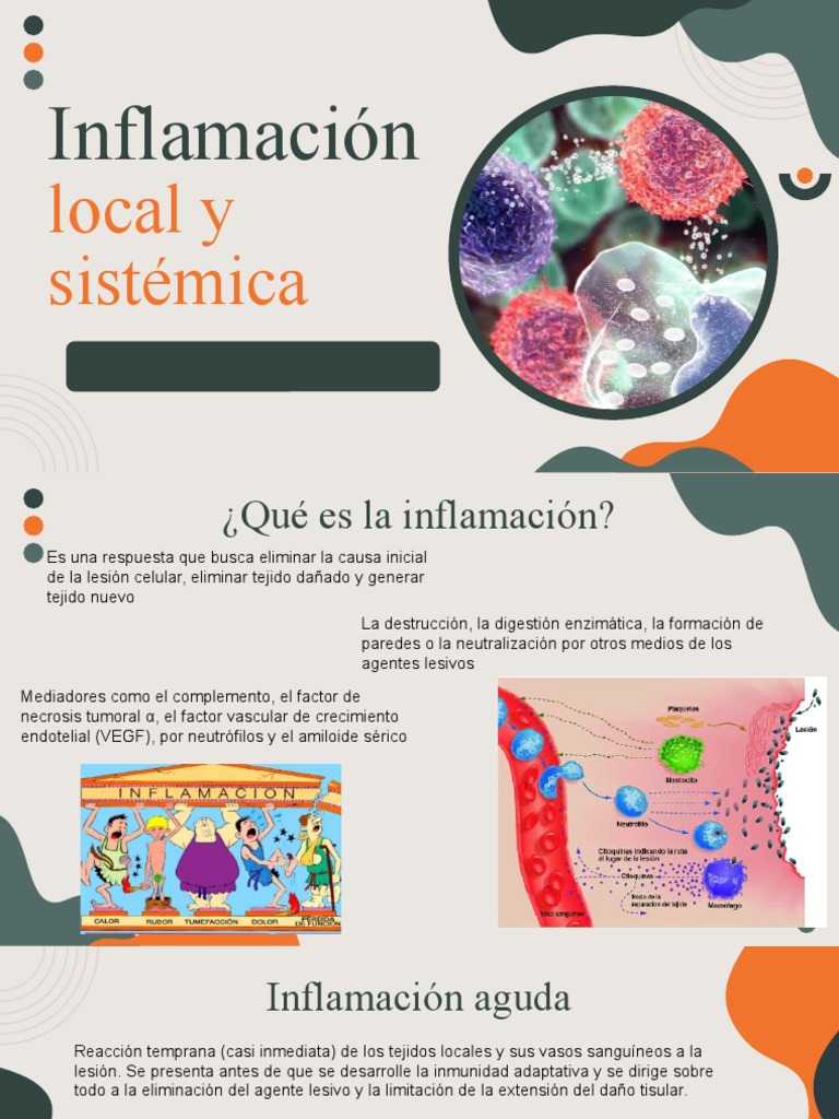 Inflamación Local y Sistémica: Fisiopatología | PDF