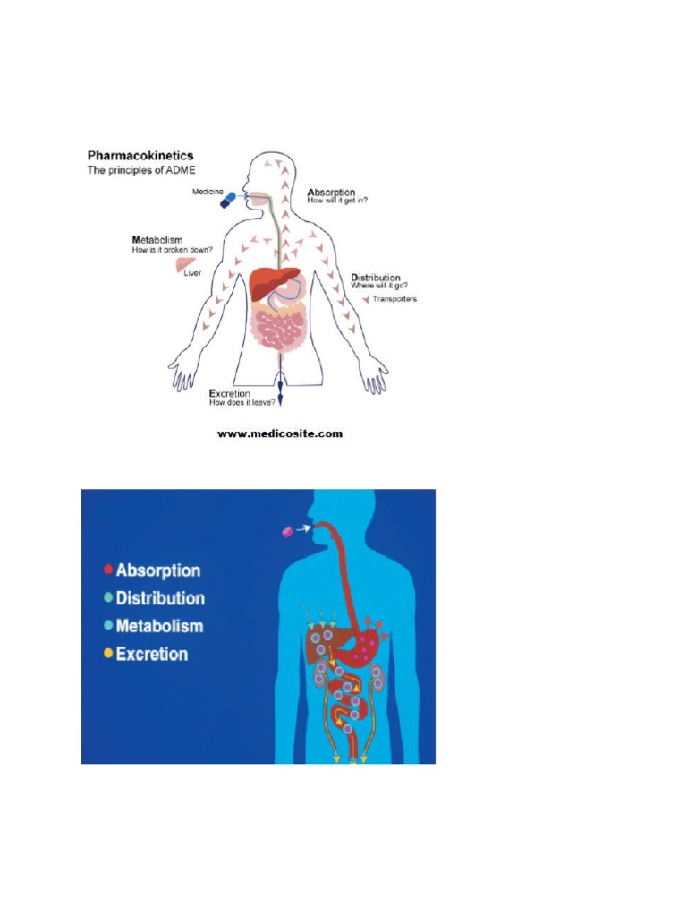 Farmakokinetik | PDF