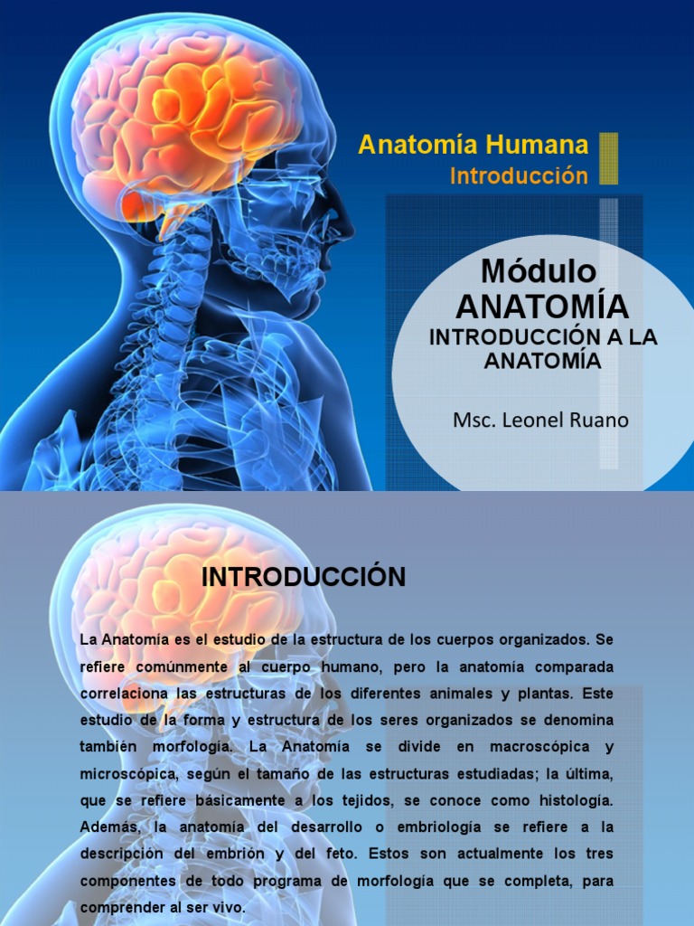 Introduccion A La Anatomia Pdf