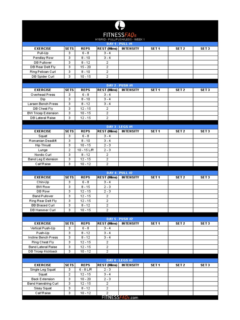 Push Pull Legs | PDF