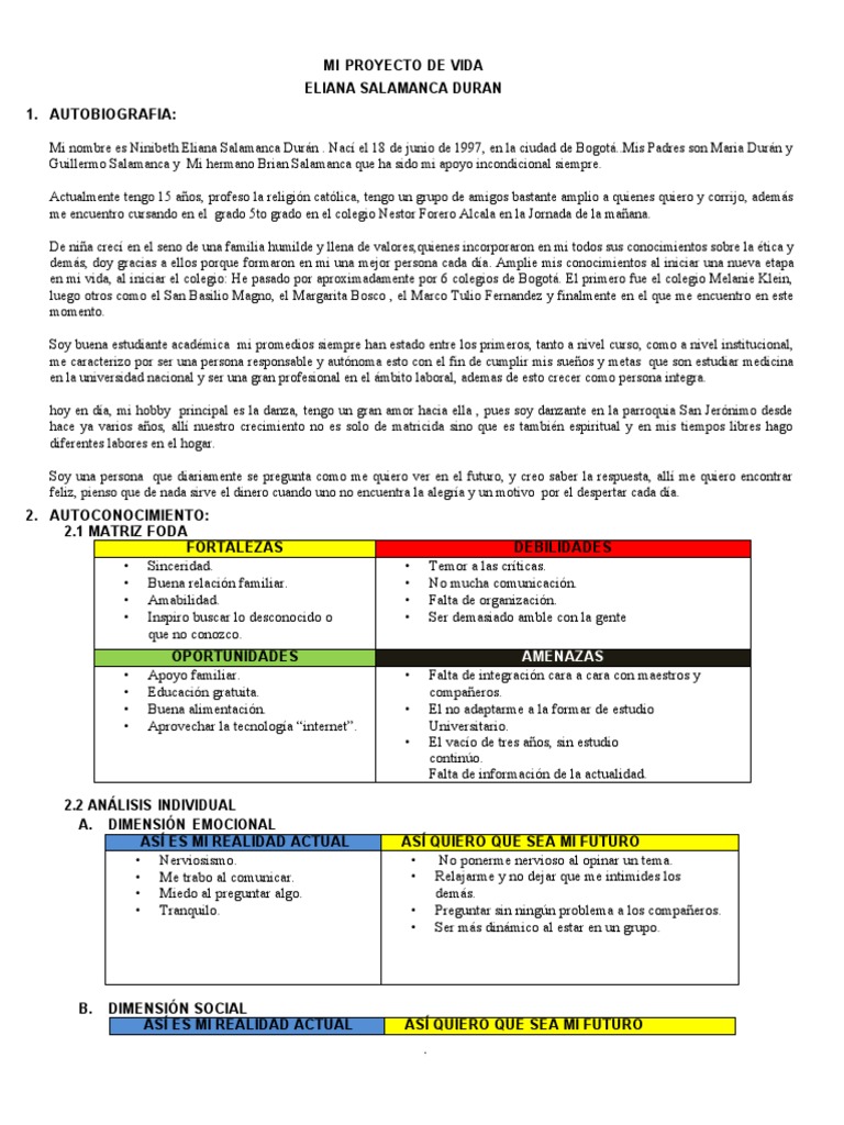 Modelo De Plan De Vida Pdf