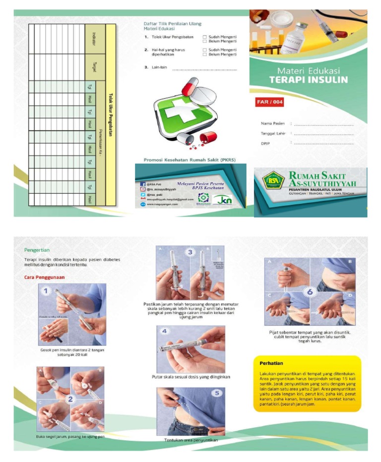 Terapi Insulin 1 | PDF