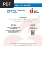 Resuscitation Triangle Roles: Compressor Team Leader | PDF ...