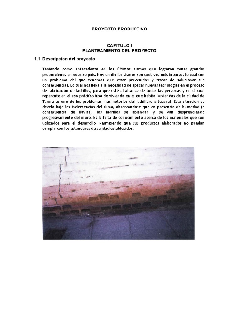 Proyecto Karol | PDF | Economias