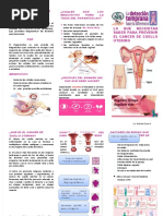 Tríptico de Cáncer de Próstata. | PDF | Cancer de prostata | Cáncer