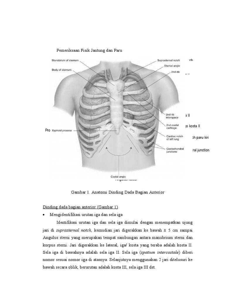 Lokasi dan Jenis Retraksi Dada | PDF | Sains & Matematika | Sejarah