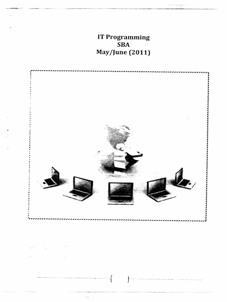 IT SBA Programming Structure | PDF