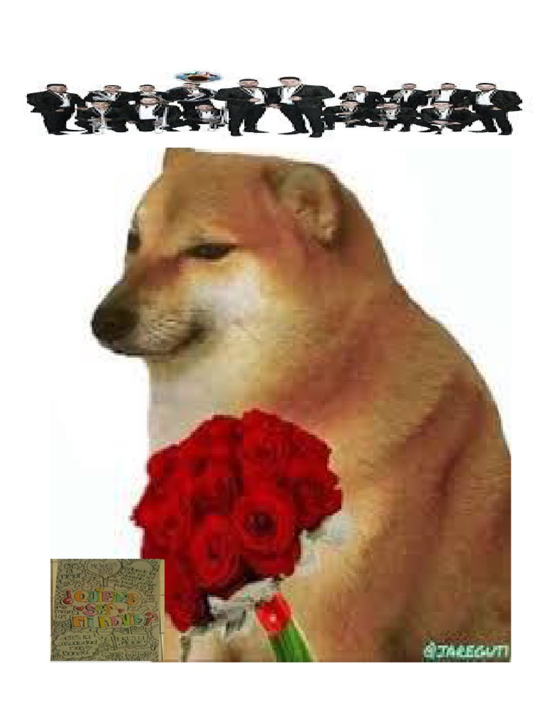 Copia de Chems | PDF