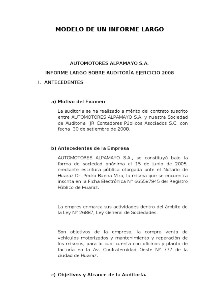 Modelo de Un Informe Largo | Auditoría financiera | Contabilidad