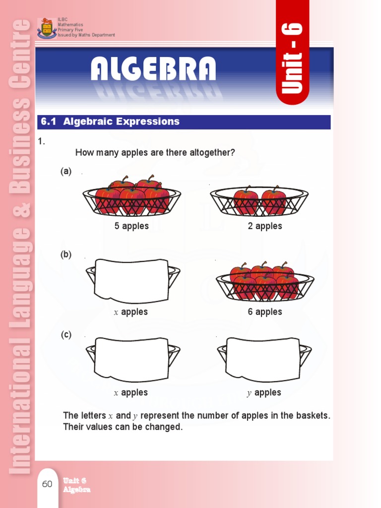 P5 Maths CB Unit | PDF | Mathematics | Area