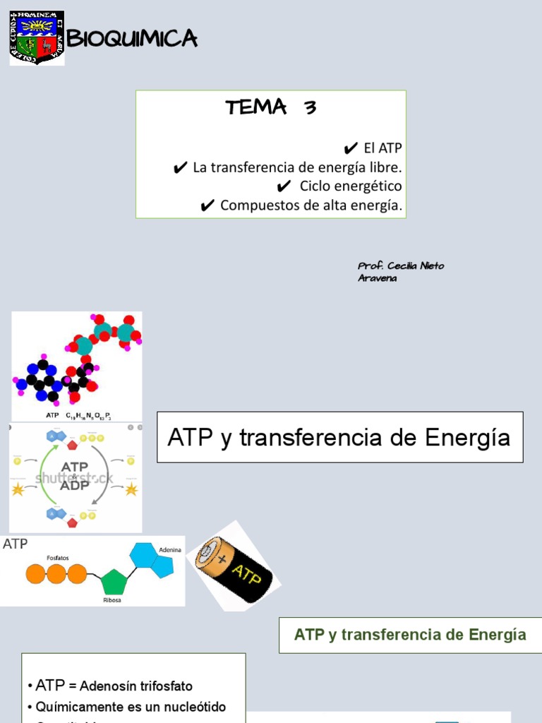 Bioq Tema 3 - ATP y Transferencia de Energia 2022-2 | PDF | Trifosfato de adenosina ...