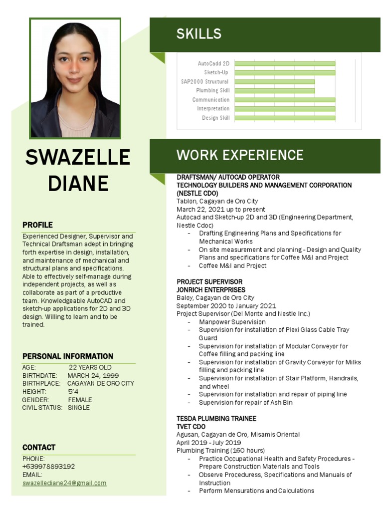 Swazelle Diane CV | Download Free PDF | Plumbing | Engineering