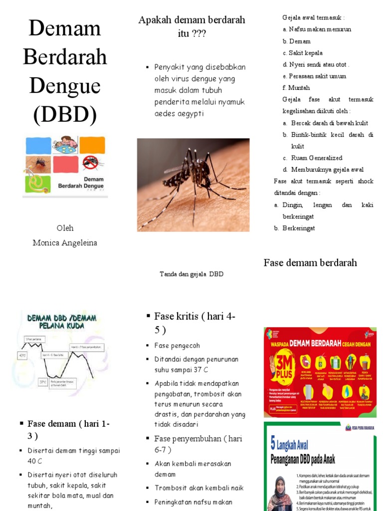Demam Berdarah Dengue Leaflet | PDF