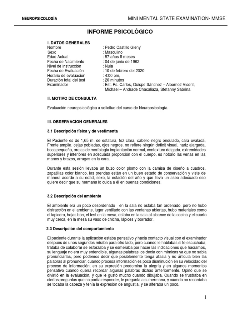 Informe Psicologico Del Minimental | PDF | Ciencia cognitiva | Ciencias del comportamiento