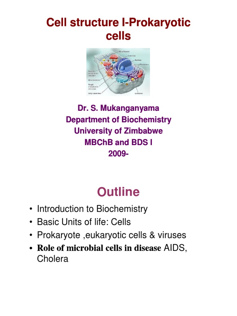 Cell Structure (Compatibility Mode) | PDF | Cell (Biology) | Bacteria