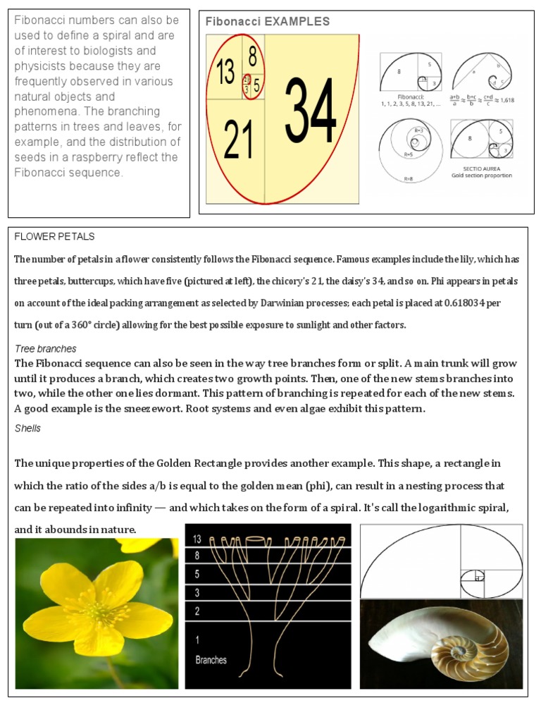 Fibonacci | PDF