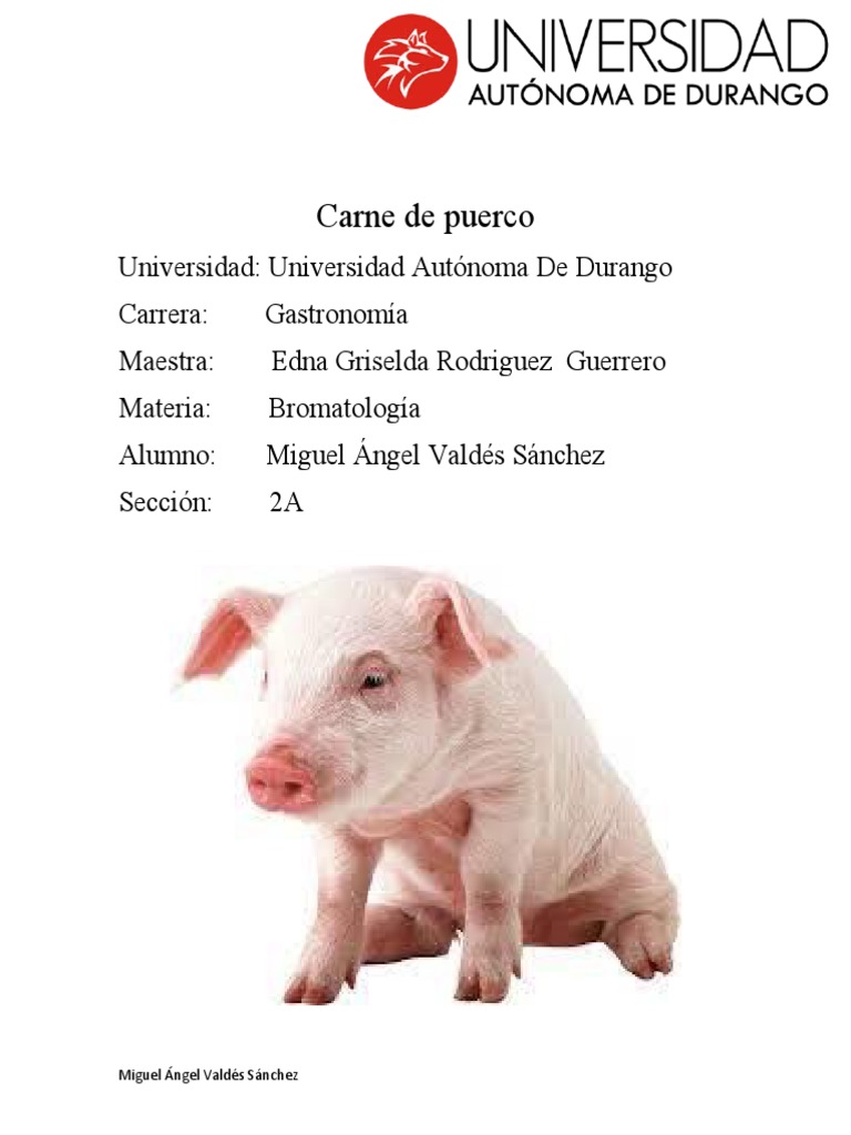Carne de Puerco | PDF | Carne | filete