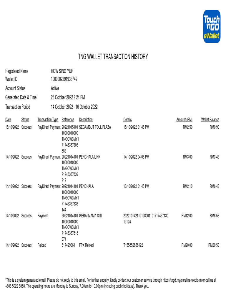 TNG Wallet Transaction History Report | PDF | Financial Technology ...