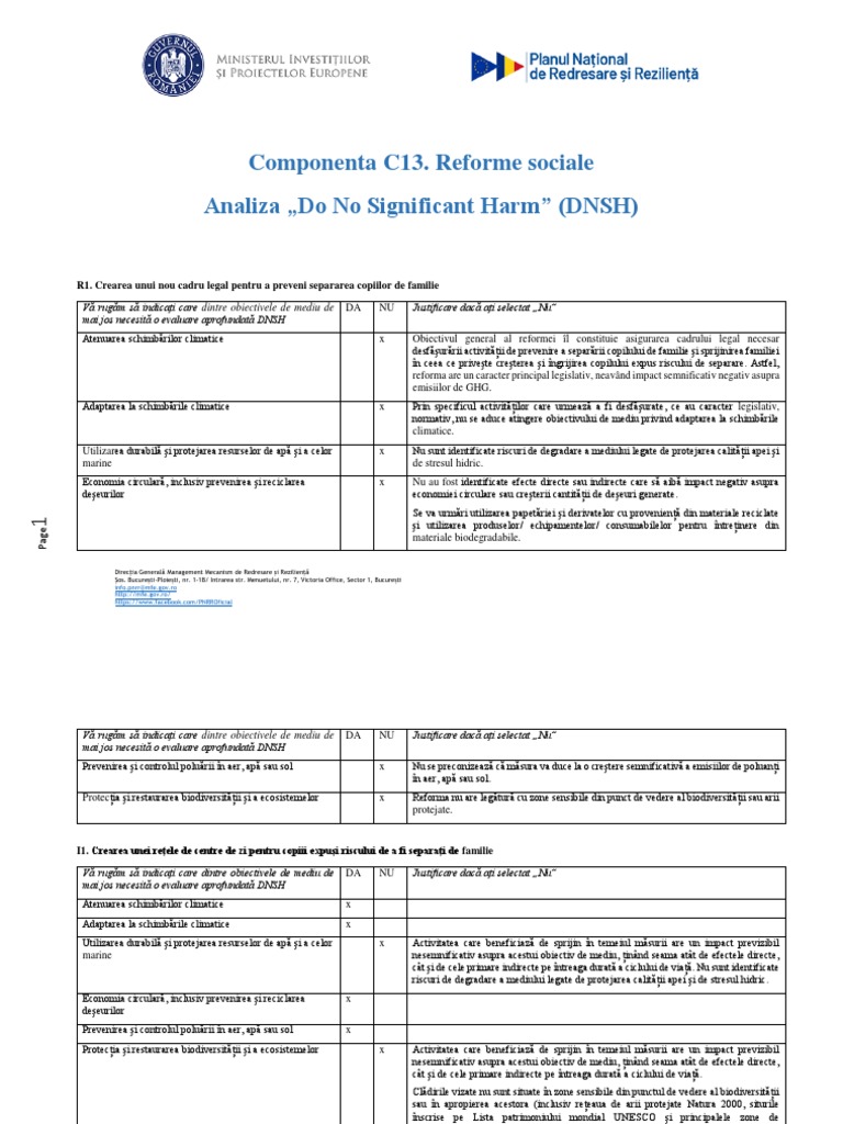 C13. Analiza DNSH | PDF