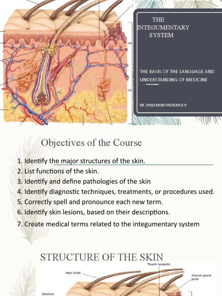 5 The Skin New Med Terminology | PDF