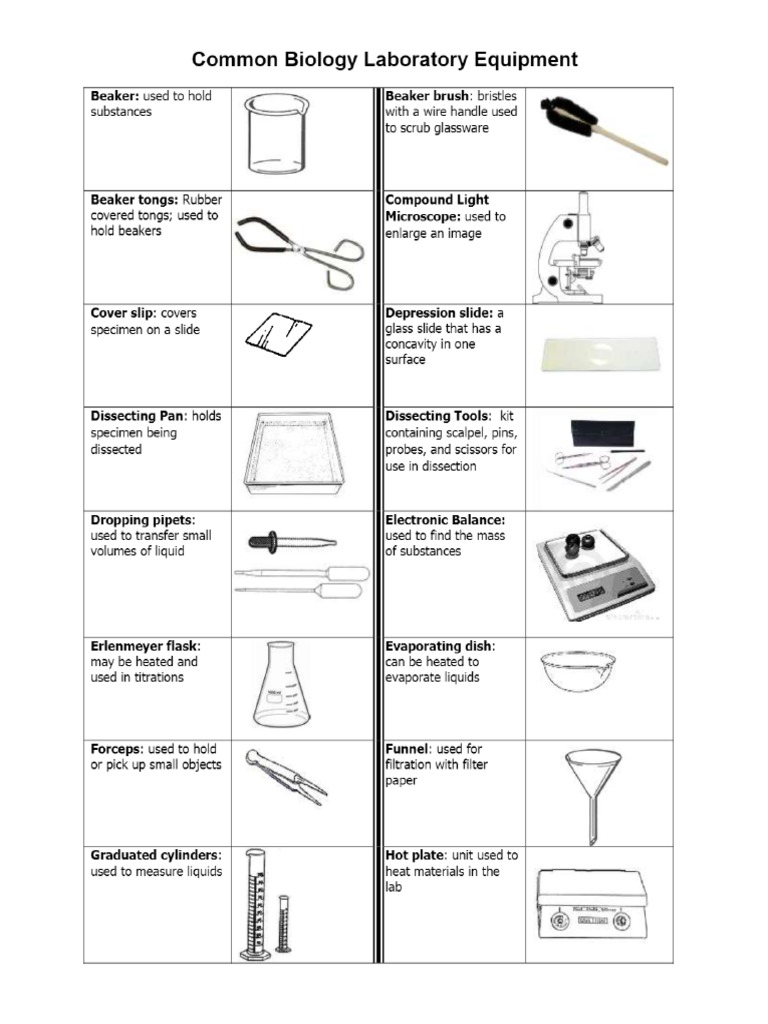 Common Biology Laboratory Equipment | PDF