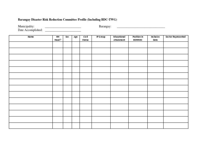 Annex B - BDRRMC Profile | PDF