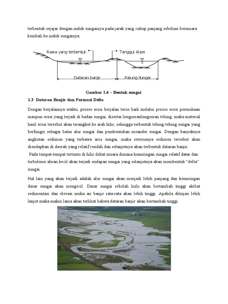 Proses Fluvial dan Pembentukan Sungai | PDF | Ilmu Sosial | Perjalanan